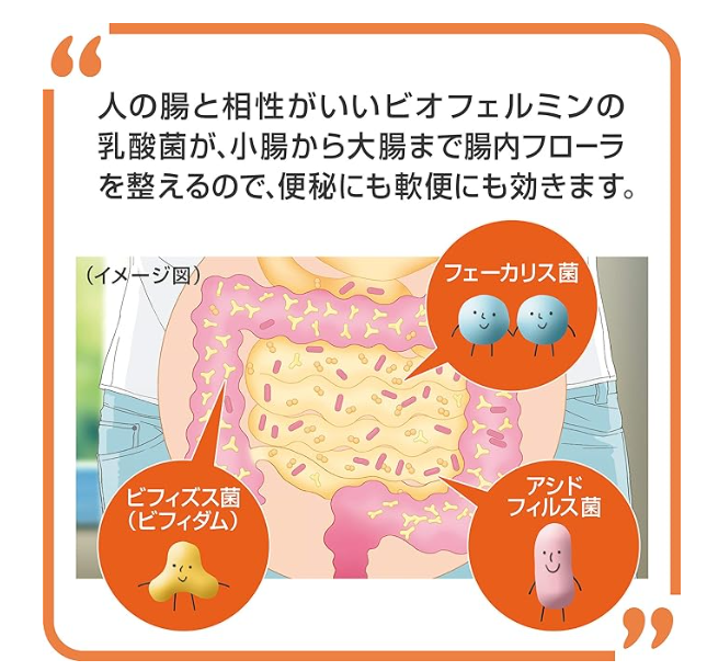 New BIOFERMIN S 540 tablets lactic acid bacterium Constipation Relief